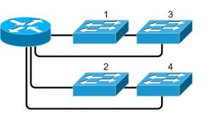 Understanding Network Diagrams and Splice Diagrams